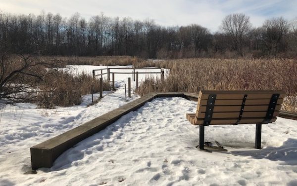 Hiking at Springbrook Nature Center – Twin Cities Outdoors