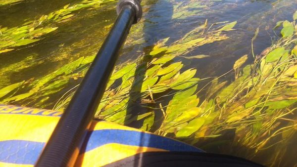 Kayak the Rum River • Twin Cities Outdoors