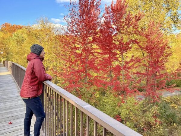 Favorite Local Fall Color Trails • Twin Cities Outdoors